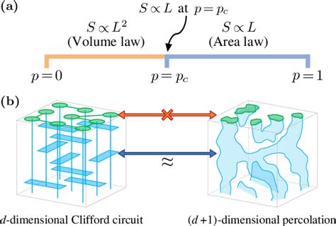 Figure 1 From Measurement Induced Criticality And Entanglement Clusters