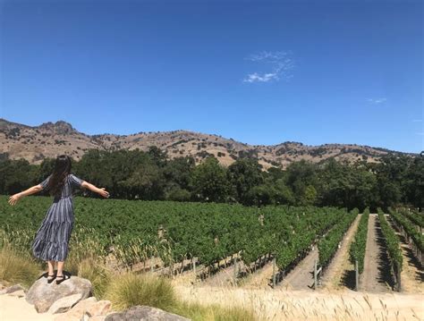 샌프란시스코 나파밸리 와이너리 투어 줌줌투어