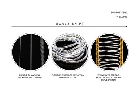 Heat Actuated Nylon Muscles Iaac Blog
