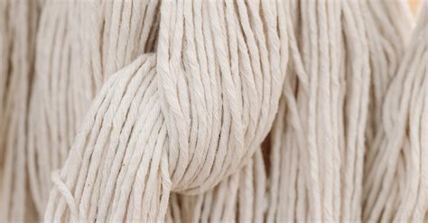 How To Get String In Minecraft Without Spiders Answeringanything