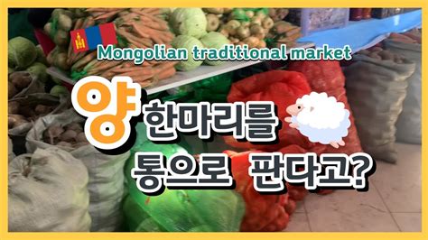 🇲🇳vlog 양 한마리를 통으로 판다고 Mongolia 시장투어 몽골시장 Youtube