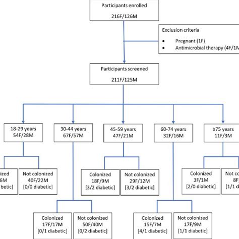 Gbs Colonization Rate By Gender And Age Group Red Bars Represent The