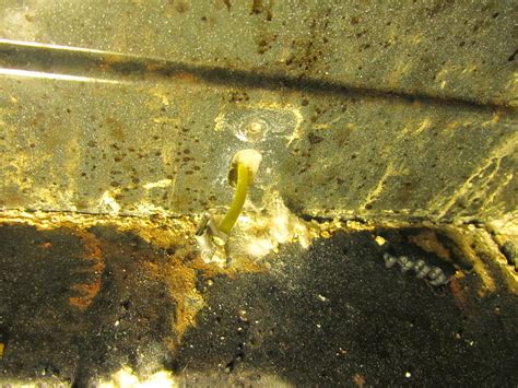 Freestyle Homemaking Reuse Recipe Fixing A Broken Oven