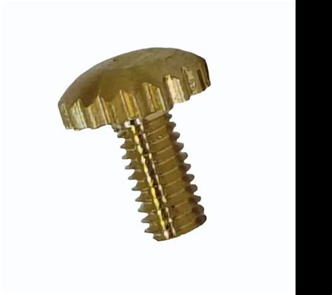 Brass Machine Screws Diameter 3 Mm Screw Length Up To 10 Inch At