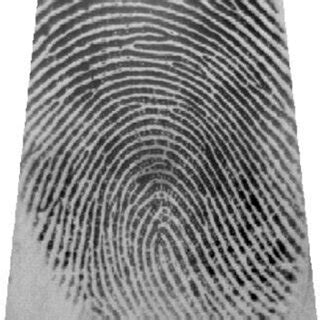 Fingerprint Quality Check Process And Overall Fingerprint Recognition