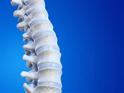 Cerebrospinal Fluid Examination Pathology Tests Explained