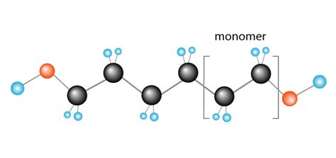 Polymers From Dna To Rubber Ducks Curious