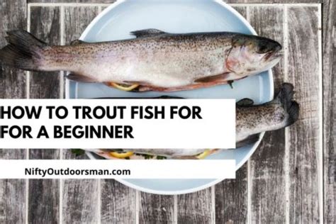 How To Catch Trout A Beginners Guide Nifty Outdoorsman