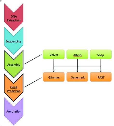 Workflow Framework Of Assembler And Annotation Methods Figure Shows