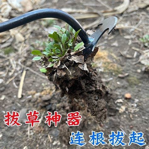 24新款特價下殺👏除草神器連根拔草工具園藝耙子除根錳鋼小號手握式松土挖野菜 露天市集 全台最大的網路購物市集