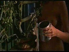 Jane March Makes Love With Tony Leung Ka Fai Xxx Mobile Porno Videos