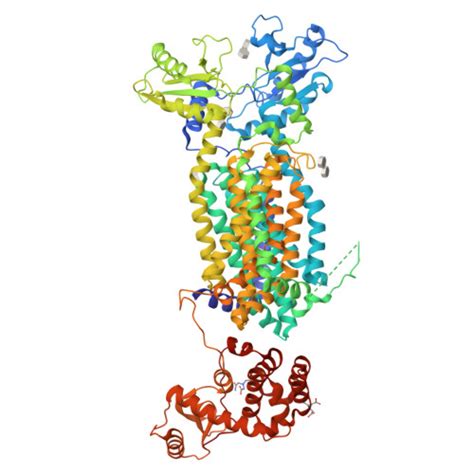 Rcsb Pdb 6ajf Crystal Structure Of Mycolic Acid Transporter Mmpl3