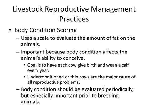 Ppt Livestock Reproductive Management Practices Powerpoint