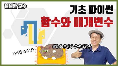 042 함수와 매개변수널널한 교수의 기초 파이썬 Ft 파이썬 코딩 Youtube