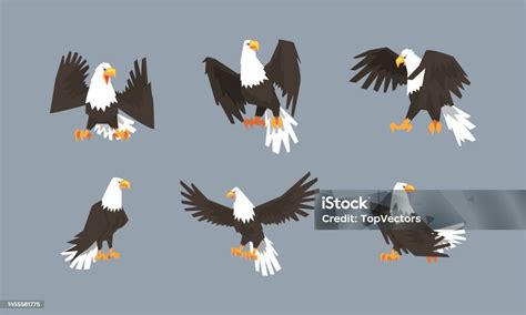 독수리는 부리와 넓은 검은 날개를 가진 큰 새의 먹이로 다른 포즈 벡터 세트 갈고리 발톱에 대한 스톡 벡터 아트 및 기타 이미지 갈고리 발톱 개념 고리 발톱 Istock