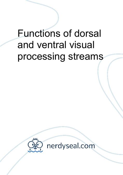 Functions Of Dorsal And Ventral Visual Processing Streams 3354 Words