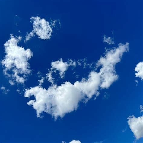 Yongming Zheng Master Degree Candidate Kunming University Of Science And Technology Kunming