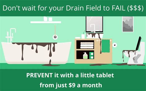 Recirculating Sand Filter Septic System Septic Tank Dude