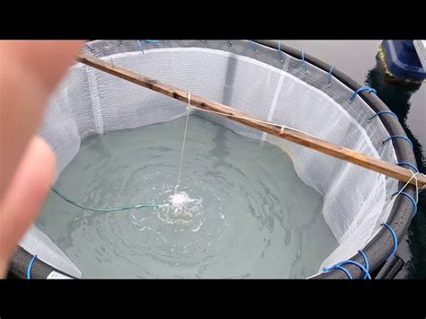 Setting Sail Hunting For Microbial Interactions In The Ocean The Vardi Group