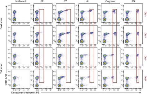 Superior Ex Vivo Detection Of Antigen Specific Cd8 T Cells With A Download Scientific Diagram