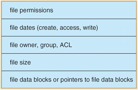 A Glance Into Operating Systems