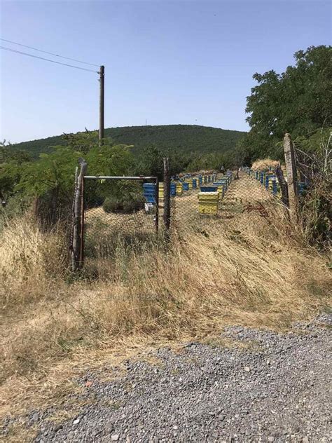 Голямо Чочовени Дворно място Продажба 580 кв м В регулация УПИ Без ток Без вода Парцели за