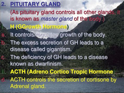 CONTROL AND CO ORDINATION Ppt Download