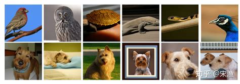 Vit Vqgan：vector Quantized Image Modeling With Improved Vqgan论文笔记 知乎