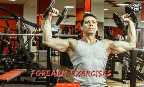Forearm Exercises Unleashing The Power Of Strong Grip Wellnessuniverse