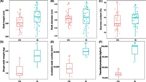 sugarcane agronomical parameters response to control ck and silicon