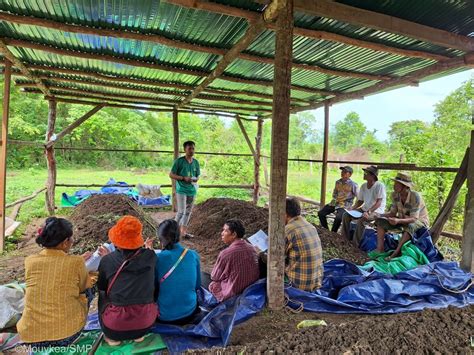 កសិករសមាជិកស្រូវត្រយងក្នុងខេត្ដមណ្ឌលគីរីរួមគ្នាផលិត«ជីកំប៉ុសធម្មជាតិ សុីសុីថាមស៍