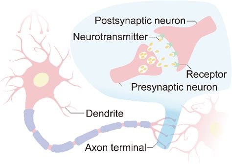 Figure 51 From Double Floating Gate Van Der Waals Transistor For High Precision Synaptic