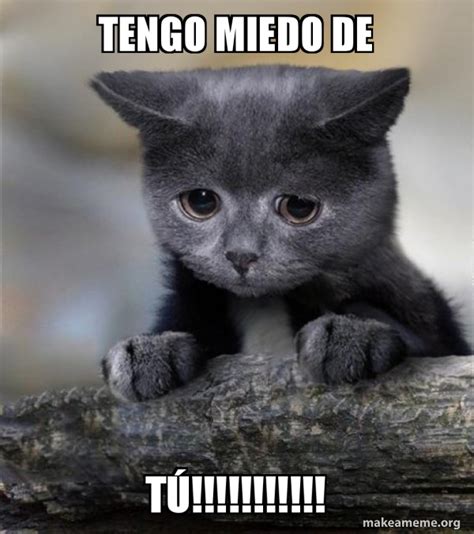 Que Miedotl Memes A Ke Miedo Meme Tiktok