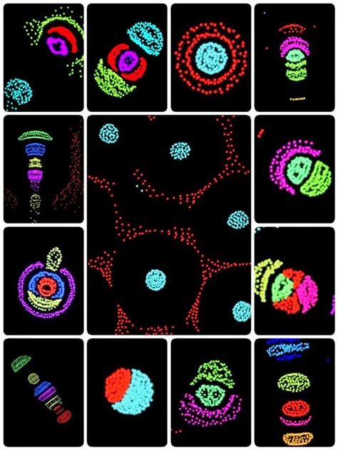 Particle Life Simulating The Emergence Of Order From Chaos By Mohammed Aman Jukaku Medium