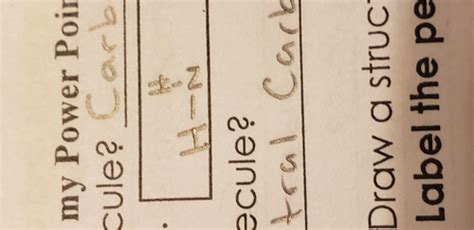 Proteins Flashcards Quizlet