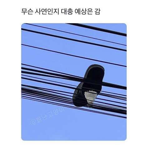 설명이 필요 없는 사진 유머 움짤 이슈 에펨코리아