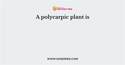 A Polycarpic Plant Is