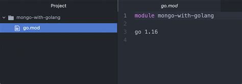 Integrating Mongodb Into Go Applications Logrocket Blog