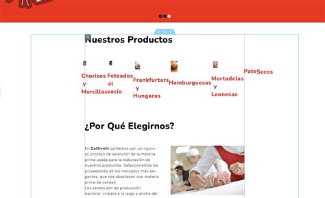 🐞 Bug Report · Issue 19407 · Elementorelementor · Github