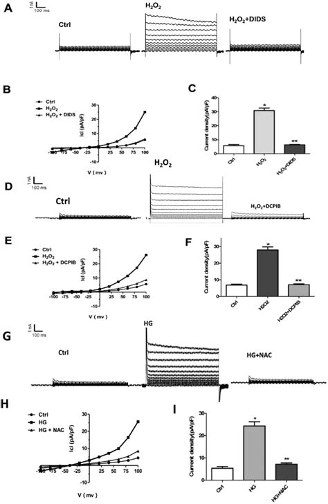 Ros Production Mediates Hg Induced Vsor Cl − Currents A Cl −