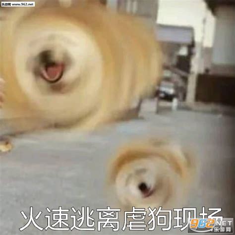 割皮包前后效果图 割了皮包后的图片 割皮包图片 大山谷图库