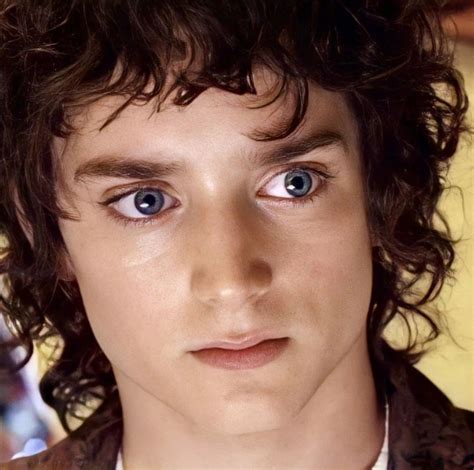 Frodo Baggins Elijah Wood Middle Earth Lord Of The Rings Tolkien