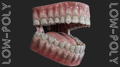 Realistic Mouth And Teeth Models Flippednormals