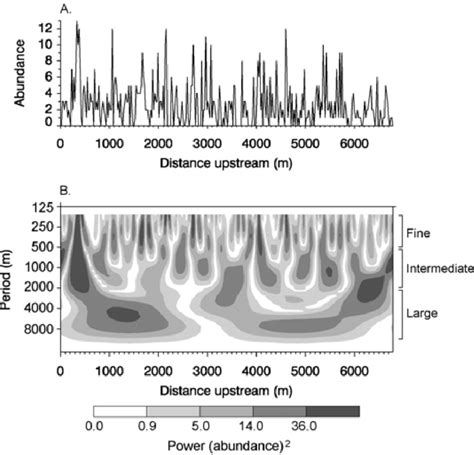 Wavelet Analysis Of Hierarchical Spatial Structure In Coastal Cutthroat Download Scientific