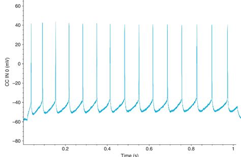 1 Intracellular Action Potential Spike Train From A Deep