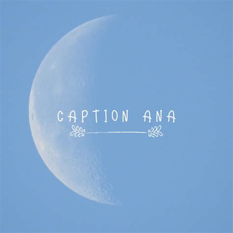 โพสต ของ Caption Ana Lemon