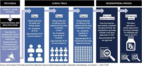 Drug Development Process Overview