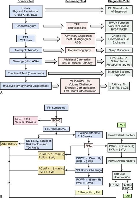 Pulmonary Hypertension In Patients With Nonpulmonary Arterial