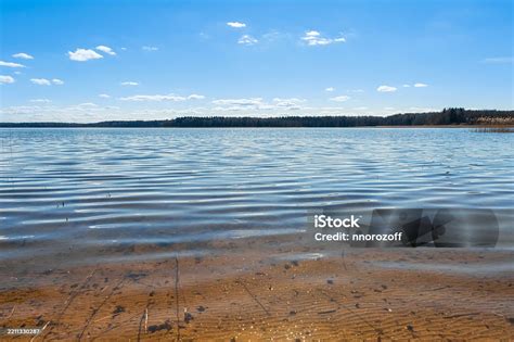 물 위의 잔잔한 잔물결 모래 사장 무성한 나무로 둘러싸인 맑고 푸른 하늘을 보여주는 고요한 호숫가 풍경 평화와 자연의 아름다움을 불러일으키는 데 이상적입니다 0명에 대한