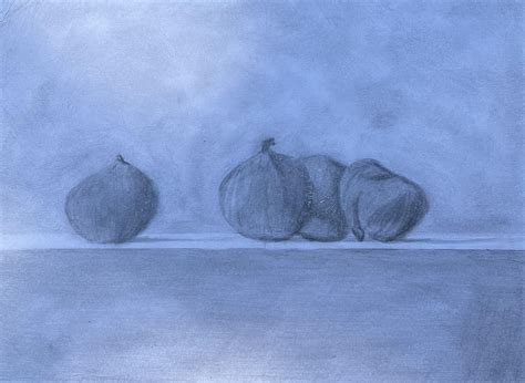 Theyre Supposed To Be Figs Lmao R Badart